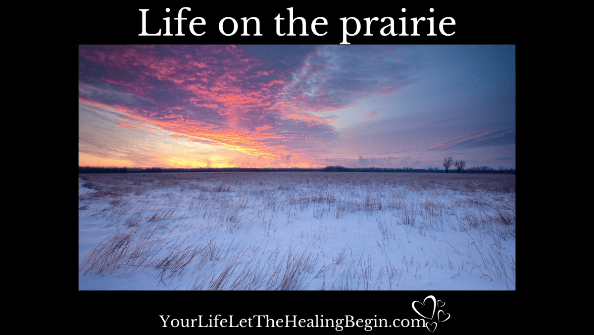 Life On The Prairie – Your Life, Your Choice
